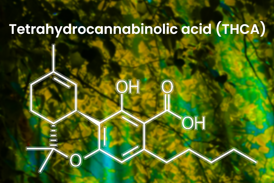 What is THCA? Is THCA legal in the UK?